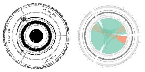 Beautiful Circos Plots In R • Rmf