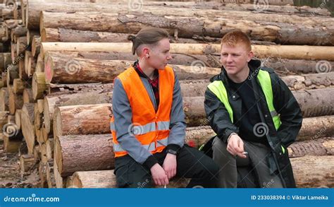 Workers Pause Logging Work They Sit On Logs Smoke A Cigarette Stock