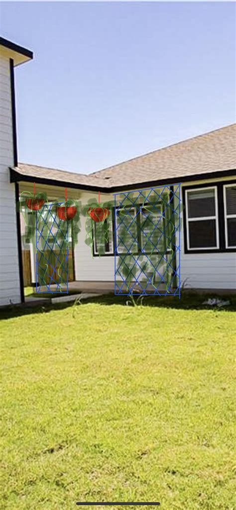 Good Plants For Creating Shade Rplants