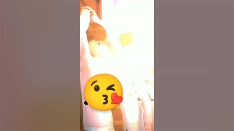 Nibba Nibbi I Love You Youtube