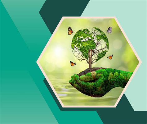 Quinque Soluções Consultoria Ambiental E Educação