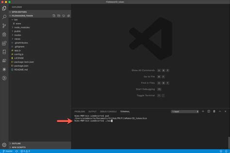Your Guide To Using The Data API On FileMaker Cloud