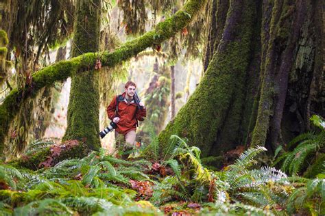BC Big Tree Website UBC Faculty Of Forestry