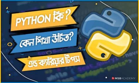 পইথন পরগরম ক কন পইথন শখ উচৎ এব কযরযর টপস MSB Academy