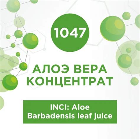 Алоэ вера концентрат 50мл купить по цене 440 руб. в Аромареалити