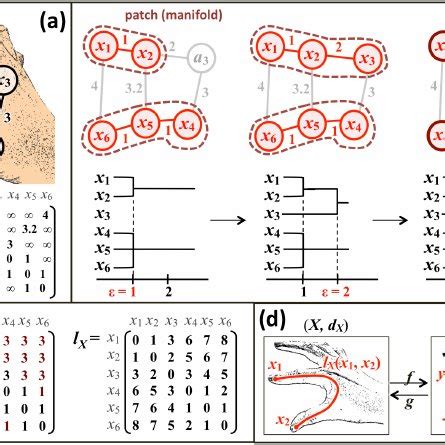 A An Example Of Shape Representation Using A Network Of Nodes X Download Scientific Diagram