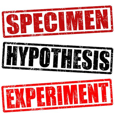 Hypothesis Testing Illustrations Royalty Free Vector Graphics And Clip Art Istock