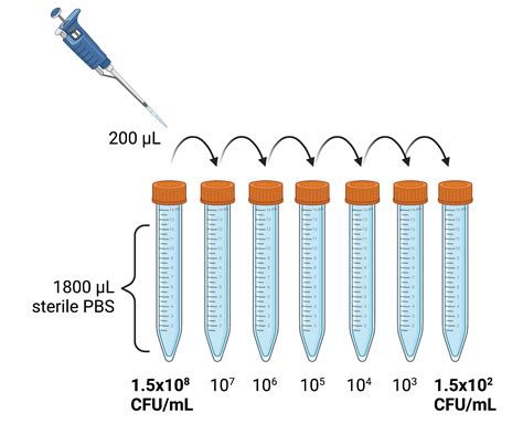 Dilution Protocol Selangor At Randi Mallon Blog