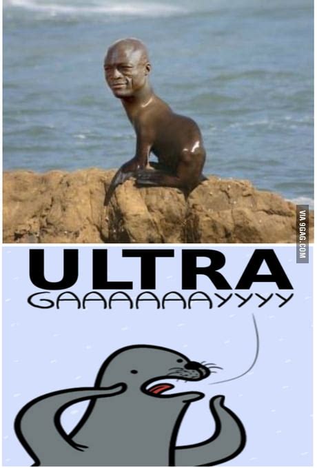 Seal Singer Meme