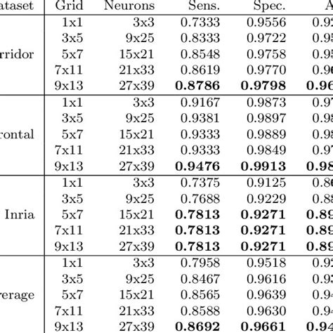 Classification Performance For Different Grid Sizes And Datasets