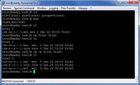 files what does the p option do exactly with the cp command unix
