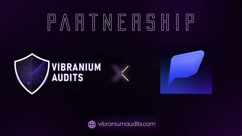 elevating crypto security with smart contract auditing vibranium