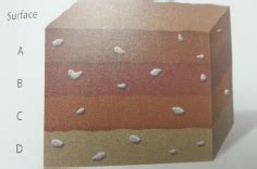 Use The Diagram Below To Answer The Following Chegg