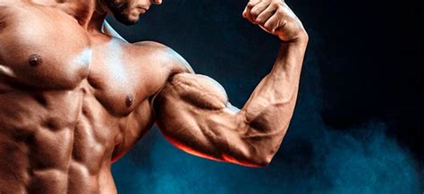 Как быстро накачать бицепс советы и упражнения для домашних условий