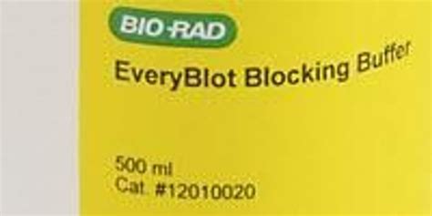 Bio Rad Introduces Everyblot Blocking Buffer That Offers 5 Minute