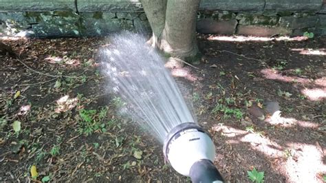 How To Kill Weeds Growing Around Trees Without Harming The Tree Video Planting