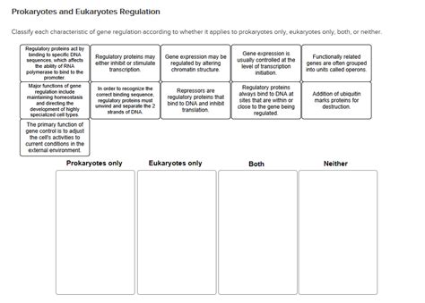 Solved Prokaryotes And Eukaryotes Regulation Classify