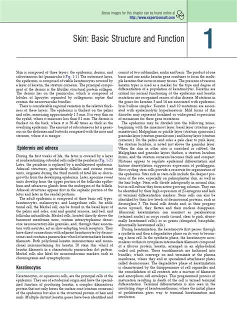 Pdf Skin Basic Structure And Function Dokumen Tips