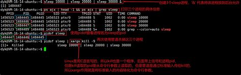 Linux系统编程——进程间通信（管道与共享内存）共享内存 管道 Csdn博客
