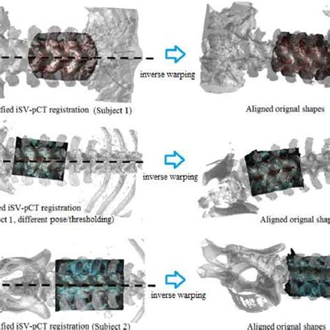 Illustration Of The Geometric Shape Rectification In Pct Each Download Scientific Diagram