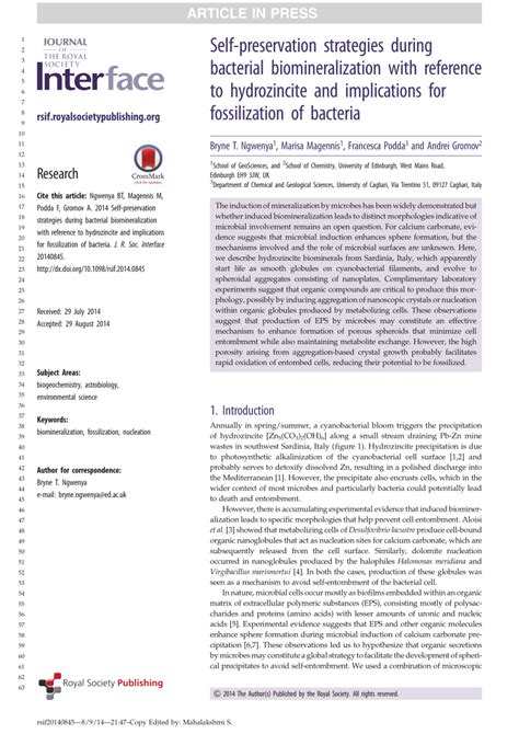Pdf Self Preservation Strategies During Bacterial Biomineralization With Reference To