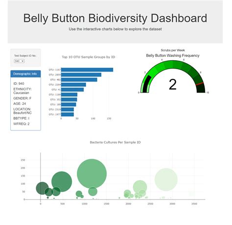 GitHub KYbarra Belly Button Challenge Belly Button Challenge