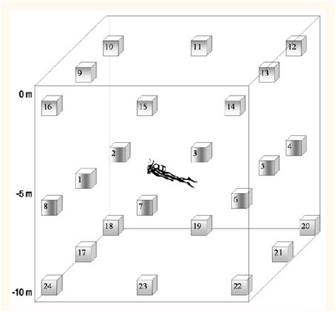 Figure 1 From Underwater Acoustic Source Localisation Among Blind And Sighted Scuba Divers
