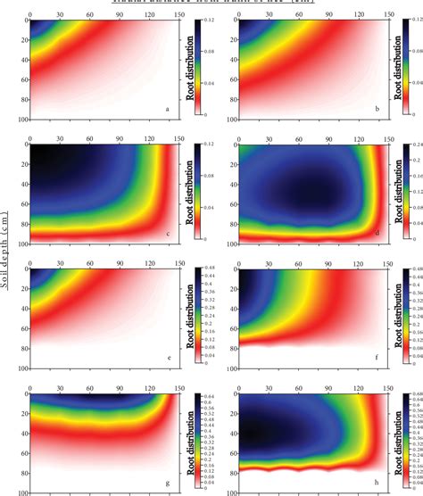 Figure 3 From Parametric Modeling Of Root Length Density And Root Water