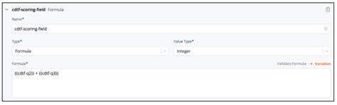 Create Formulaic Custom Data Type Fields Welkin Health