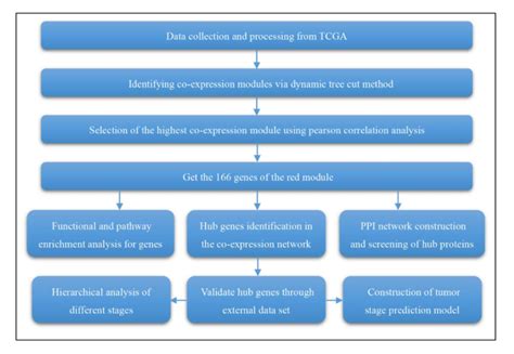 The Workflow Of Data Analysis Download Scientific Diagram