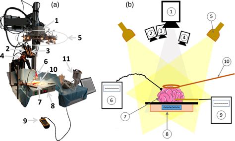 Comparison Of Different Spectral Cameras For Image Guided Organ
