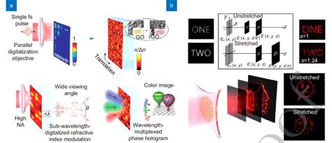 Rewritable And Stretchable Meta Holography Methods A Tunable Download Scientific Diagram