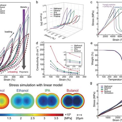 A Planar Sem Image Of A Butanol‐based Stretchable Conductive Fiber B