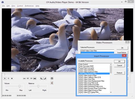 Leadtools Multimedia Sdk