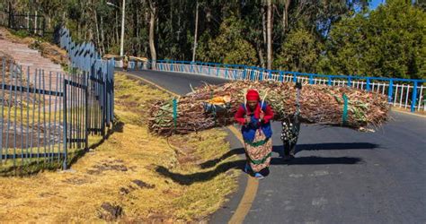 40 Mount Entoto Foto Foto Stok Potret And Gambar Bebas Royalti Istock