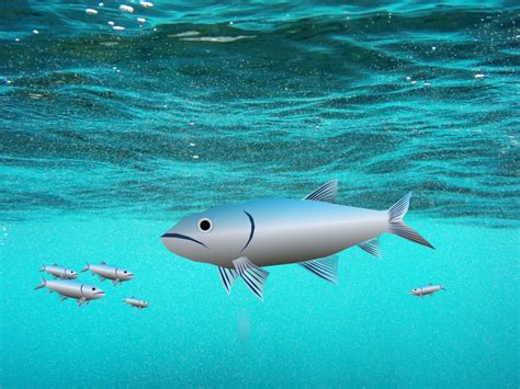 What Is A Fossil And How Do They Form Discovering Fossils