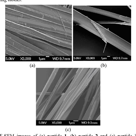 Figure 12 From Formation Of Fibrillar Structures Through Self Assembly Of Designed Peptide Turns