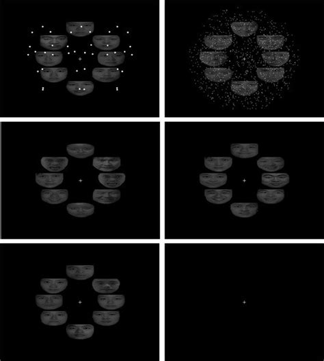 Eight Task Irrelevant Facial Emotion Cues Located On An Imaginary Download Scientific Diagram