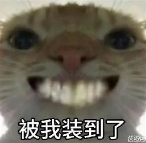 三角洲鼠鼠表情包全部高清坏笑红温附鼠鼠头像 优游网