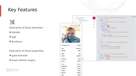 Face Recognition System Omni Platform DiVi Inc