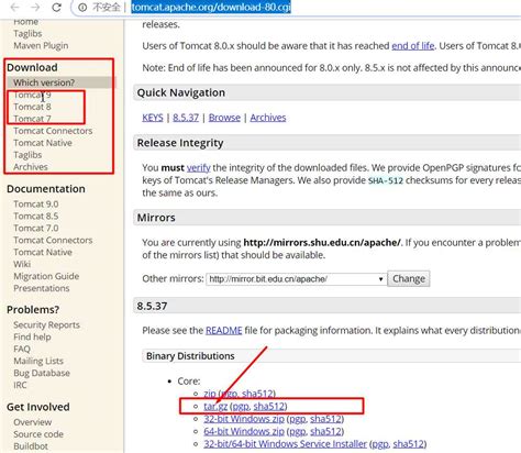 Linux Centos Tomcat Web
