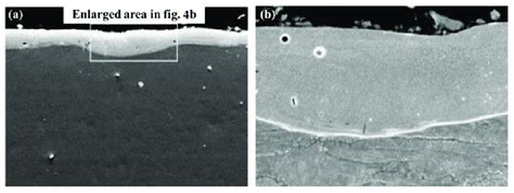 A Sem Image And B Eds Spectra Showing The Presence Of Tib2