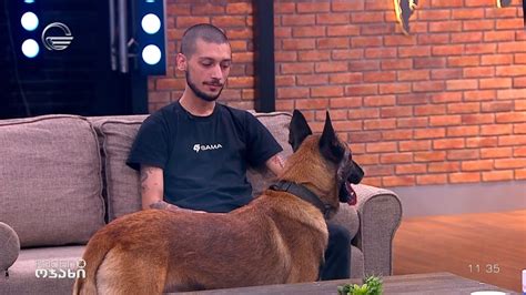 როგორი ჯიშია ბელგიური მალინუა ირაკლი მახათაძე სტუმრად ზვიად ჩიხლაძის რუბრიკაში Youtube