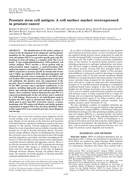 Pdf Prostate Stem Cell Antigen A Cell Surface Marker Overexpressed In Prostate Cancer