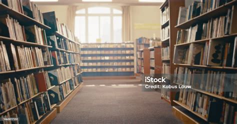 도서관 독서를위한 이야기가있는 책장에있는 책 교육 및 학습을위한 지식 및 정보 나무 책장 연구 및 연구 책 선택 및 도서관 인테리어가 있는 학술 및 소설 서점에 대한 스톡