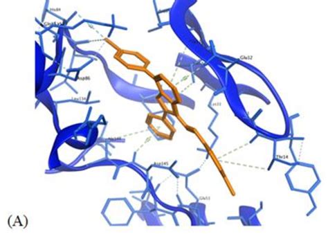 3d Diagram For The Binding Interactions Of Compound 5a A In The Cdk2 Download Scientific