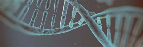 Infographic Next Generation Sequencing Overview Biocompare Com