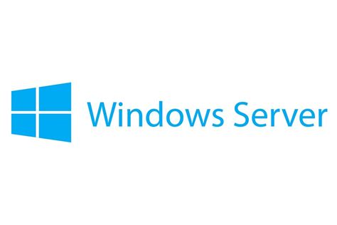 Windows Server DATA MINER