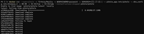 How To Set Up Pi Hole In Docker Container