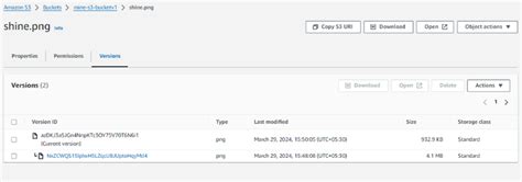 Amazon S Versioning Using CLI GeeksforGeeks